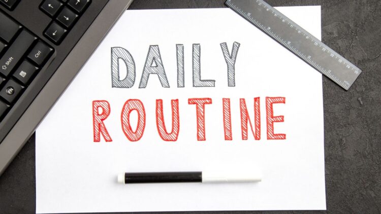 The CEO Routine: How the Leader of an Organization Needs to Manage His ...