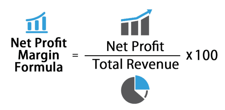 How To Calculate Profit Margin with Definition and Examples
